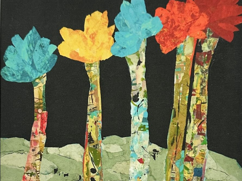 Home | Barrington Public Library